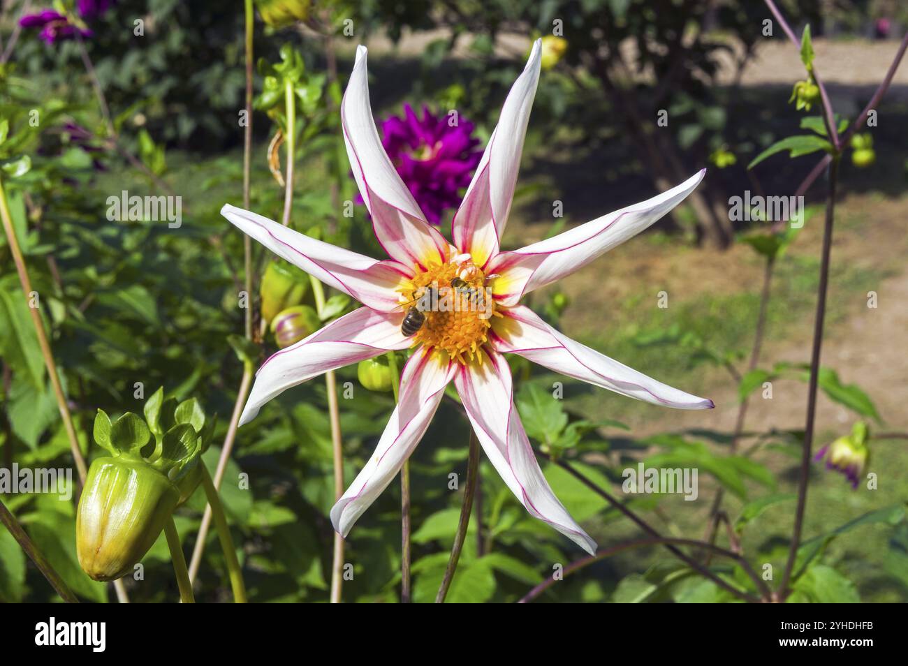 On a lovely september day hi-res stock photography and images - Alamy