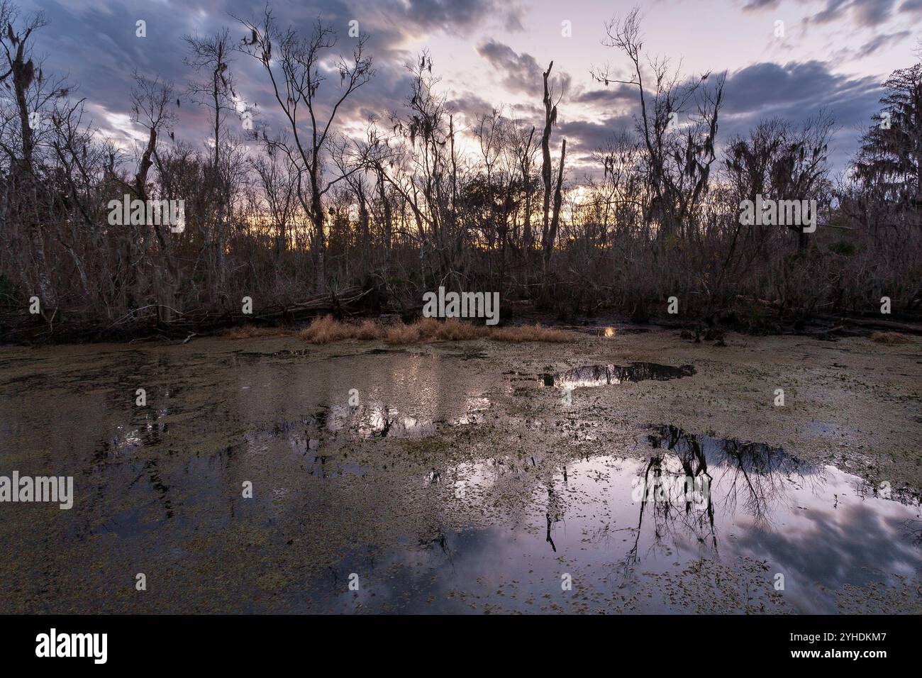 Louisiana bayou sunset hi-res stock photography and images - Alamy