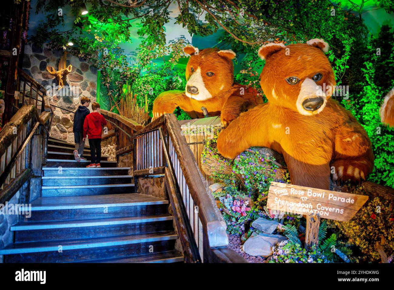 Animated display bears hi-res stock photography and images - Alamy