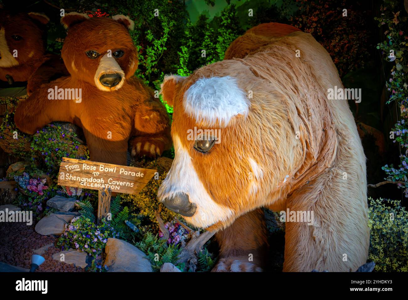 Rose bowl parade bears hi-res stock photography and images - Alamy