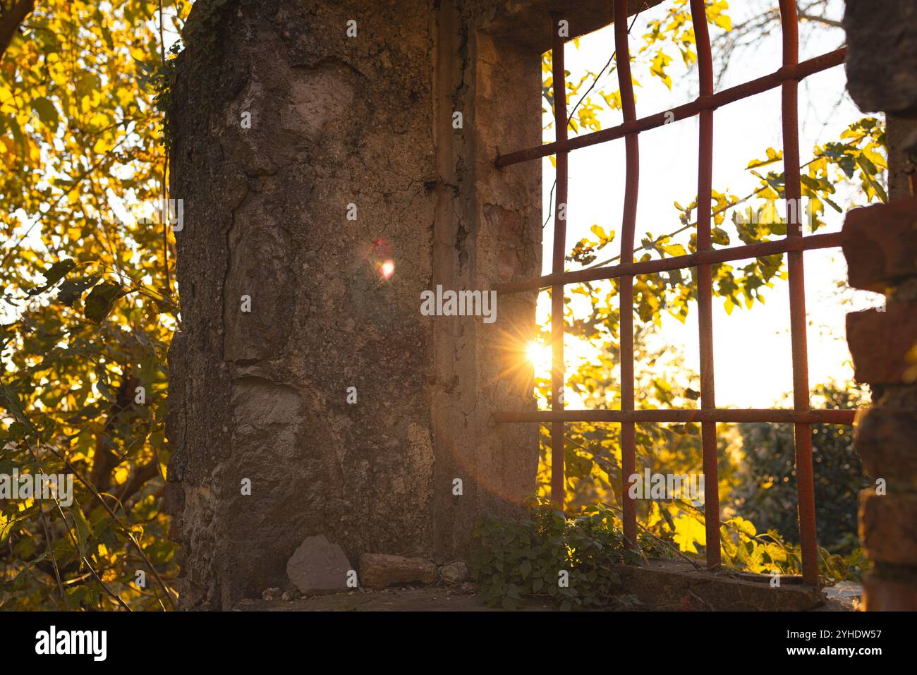 Sunlight Streaming Through a Rustic Window with Iron Grates Stock Photo ...