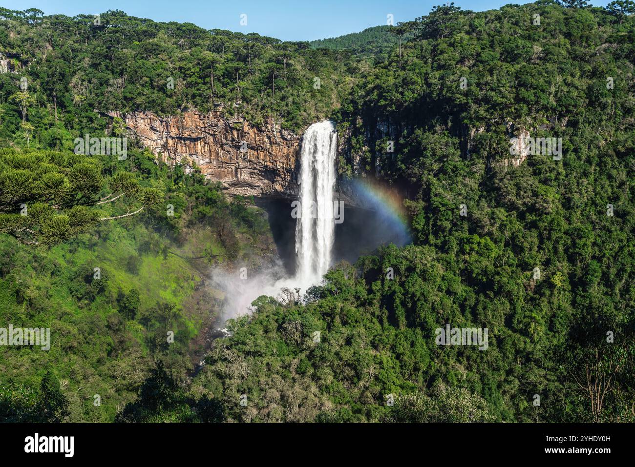 Caracol canela hi-res stock photography and images - Alamy