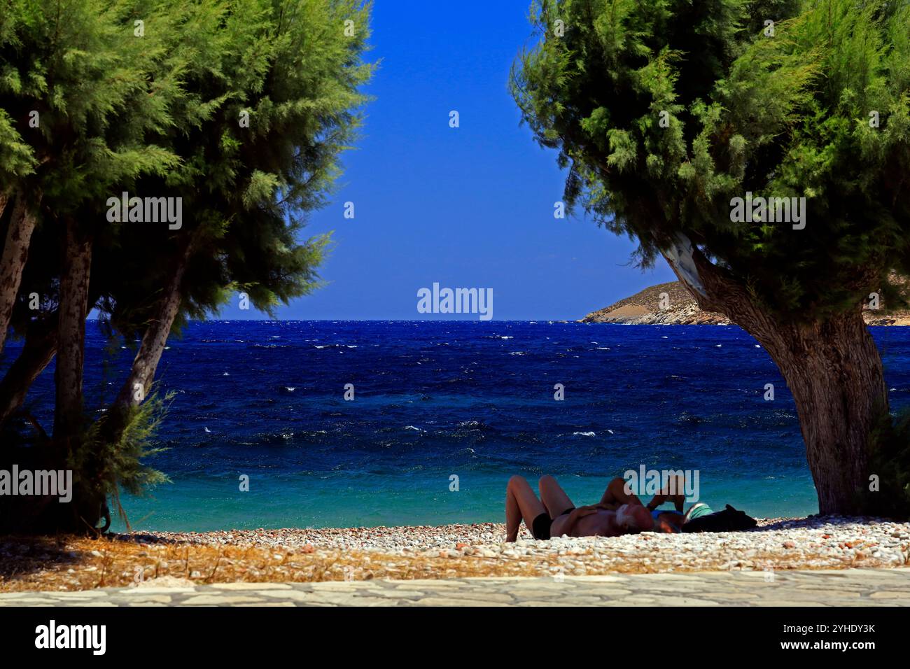 Older couple enjoying the shade of a tamarisk tree on Livadia beach ...
