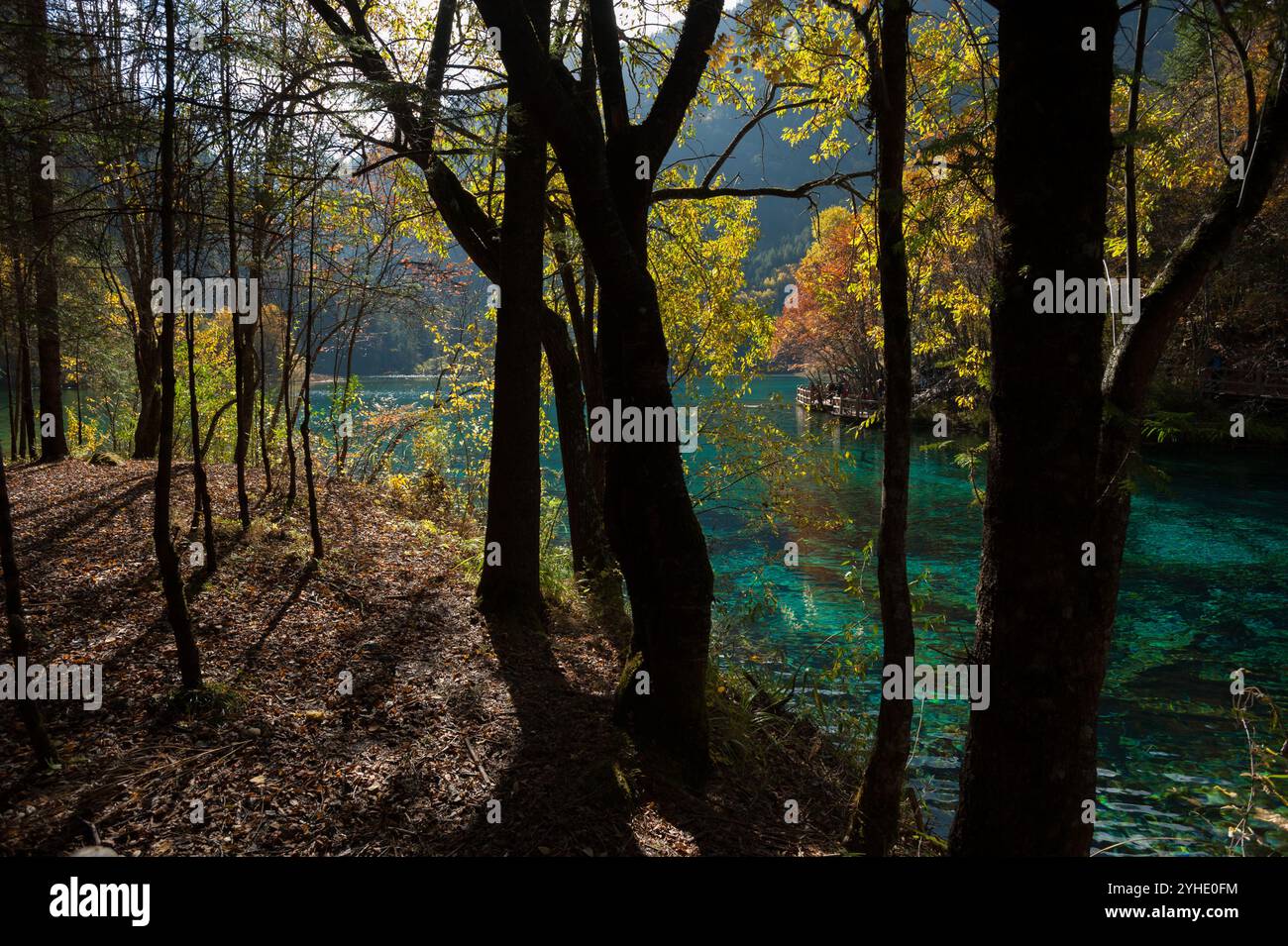 Five Flower Lake, Jiuzhaigou Nine Village Valley, Sichuan province ...