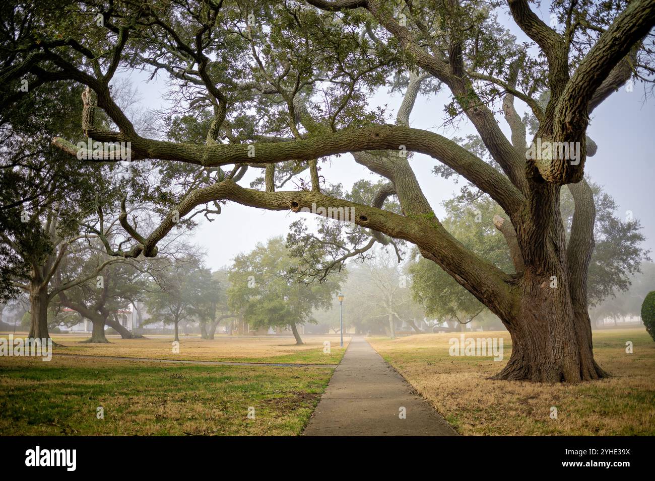 Fort monroe quad hi-res stock photography and images - Alamy