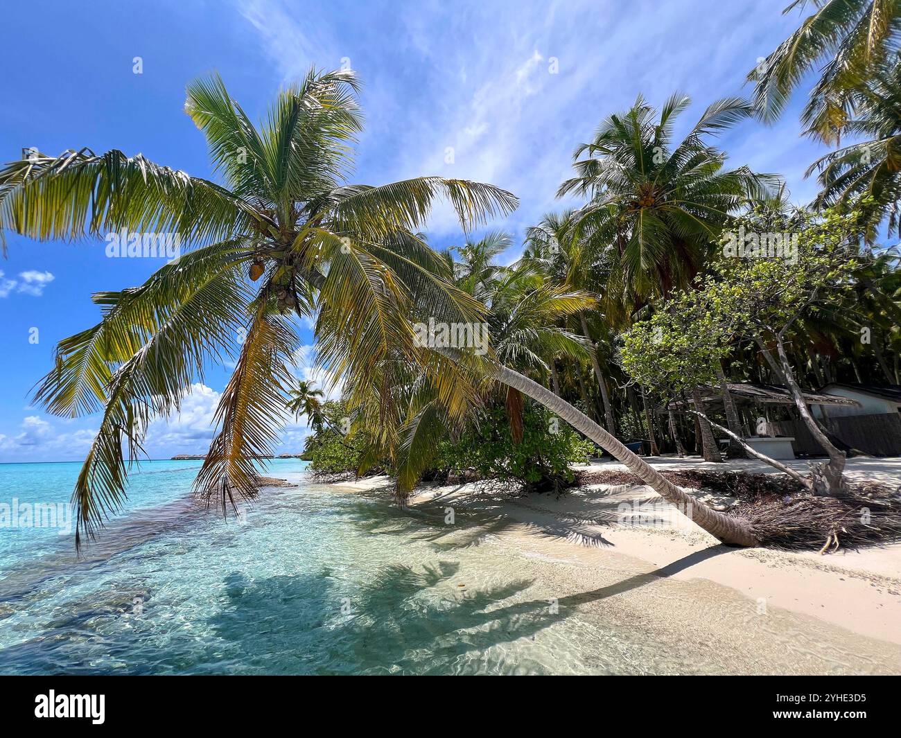 Male, Maldives. 07th Aug, 2024. Hotel COMO Maalifushi on the Maldives ...
