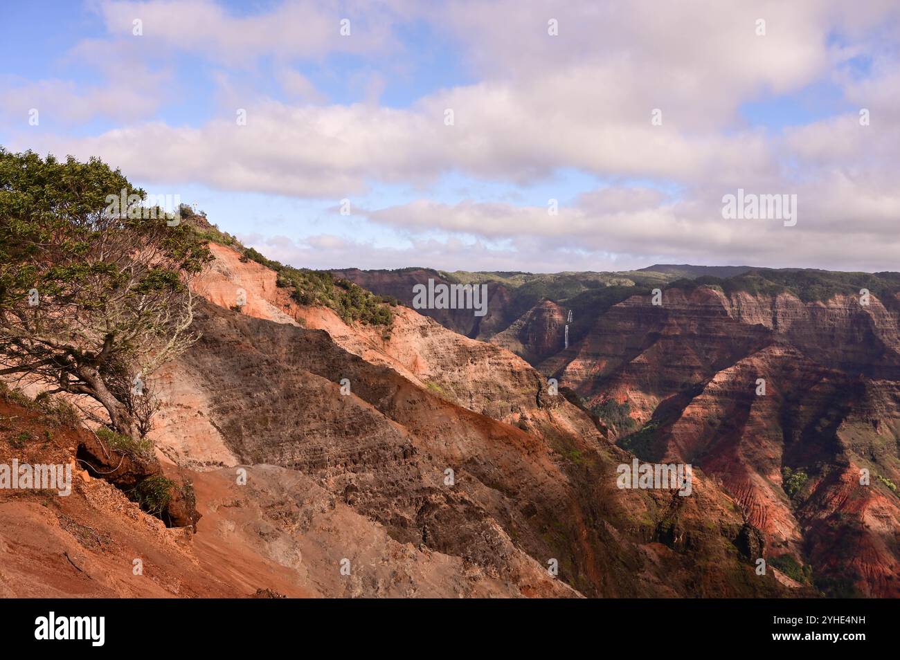 Lone tree in waterfall hi-res stock photography and images - Alamy