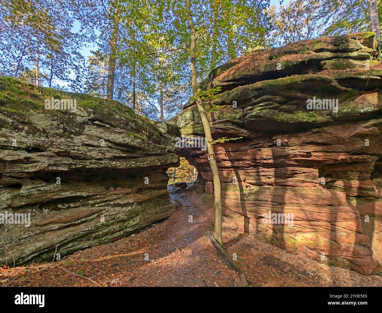 Narrow passage through the sandstone rocks on the rock path in the ...