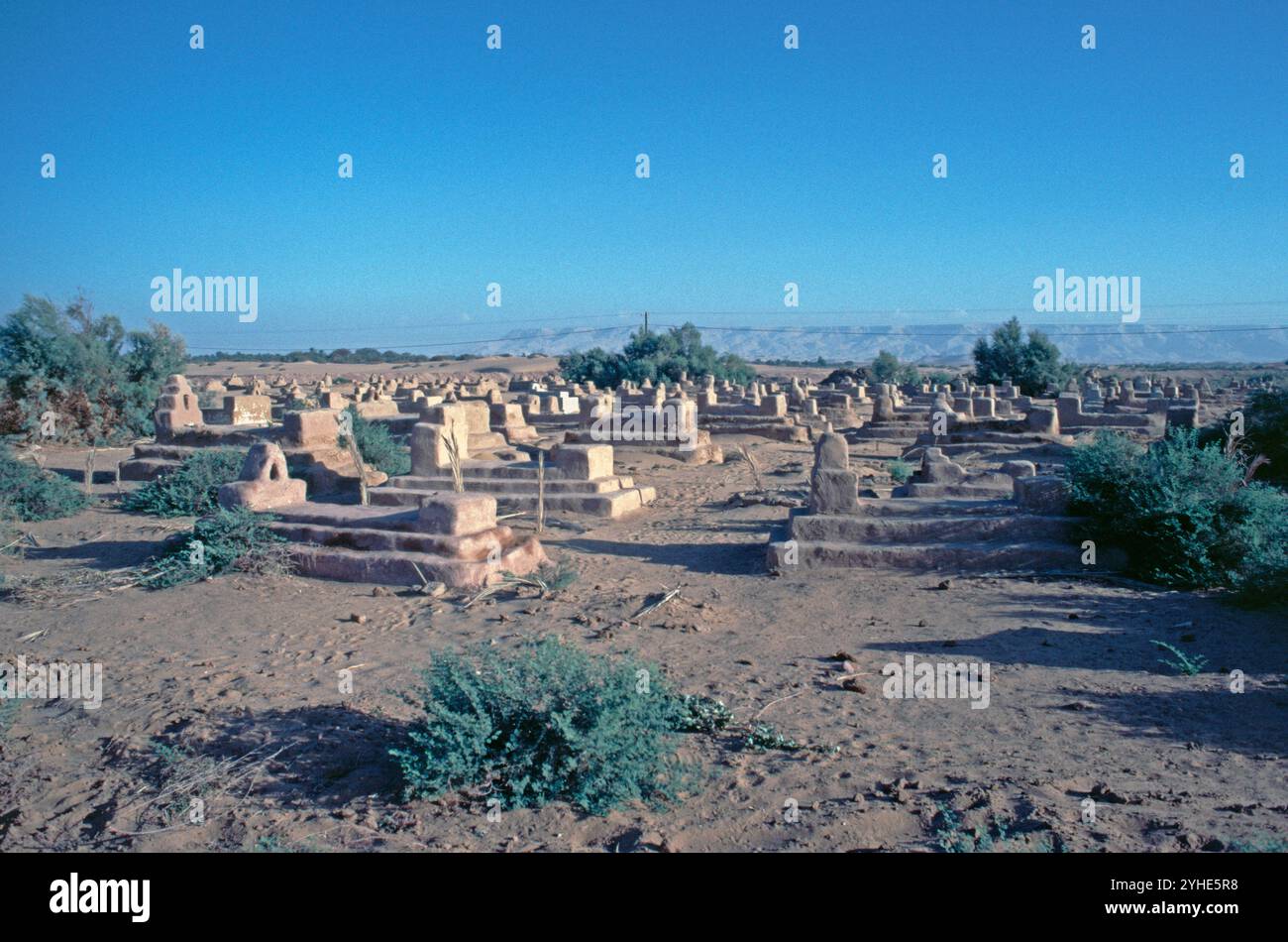 Gravestones, graveyard, tourism centre Mut 3, main town El Qasr of ...