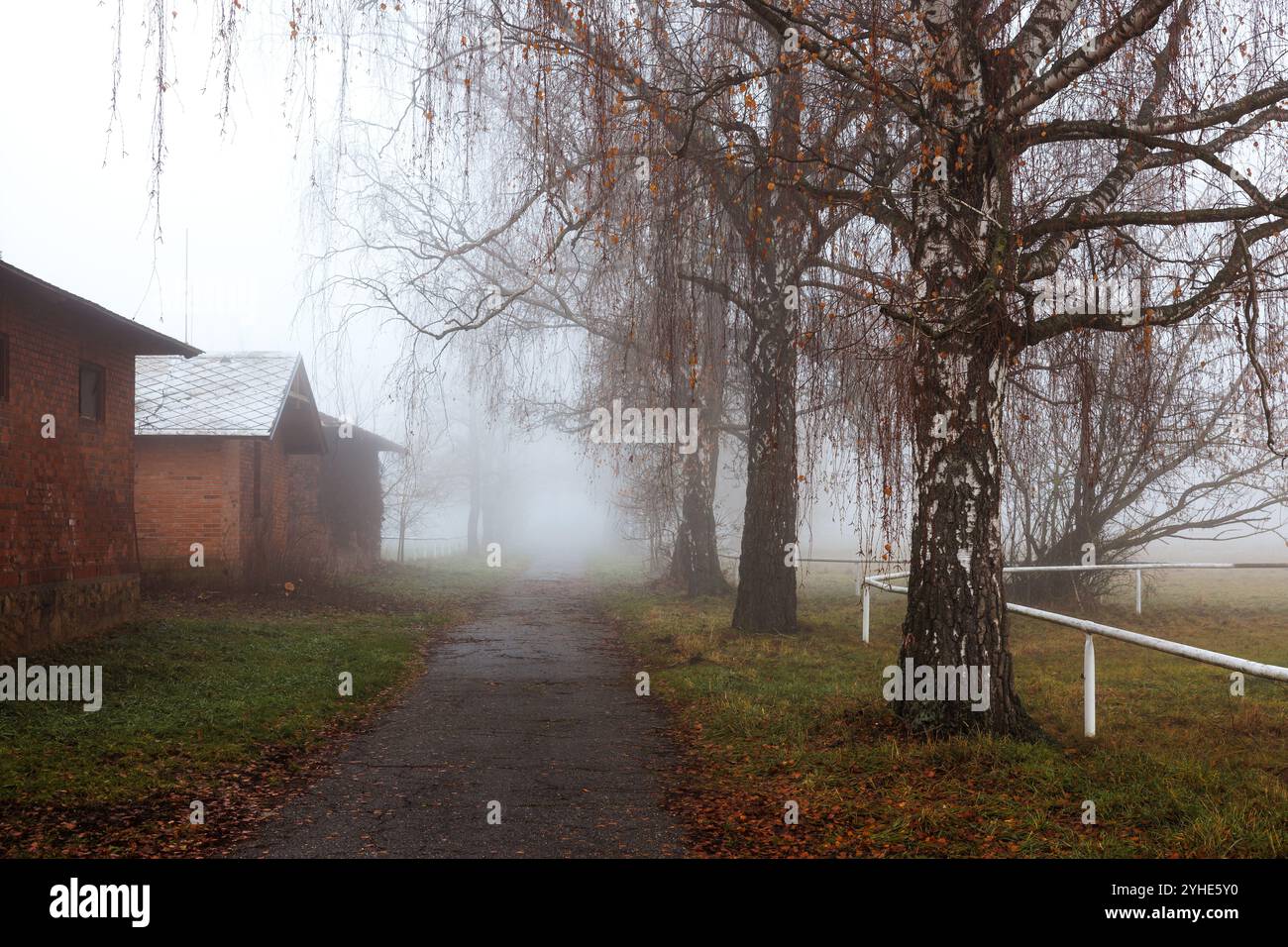 Abandoned farm house with empty pasture. Fog and cold weather in autumn ...