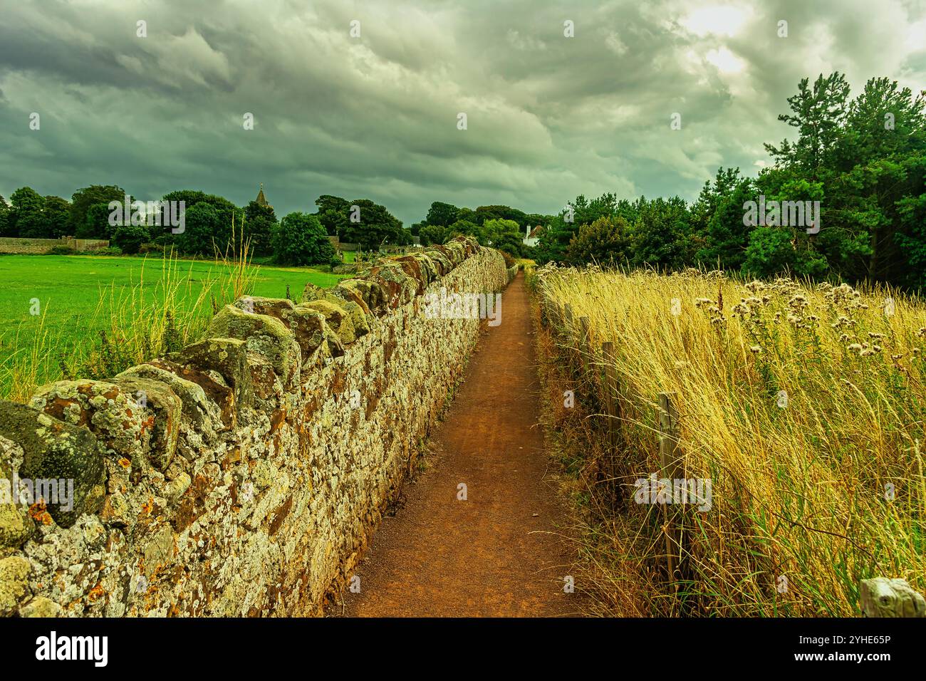 Dry stone walls mark paths across the Scottish moorland near Aberlady ...
