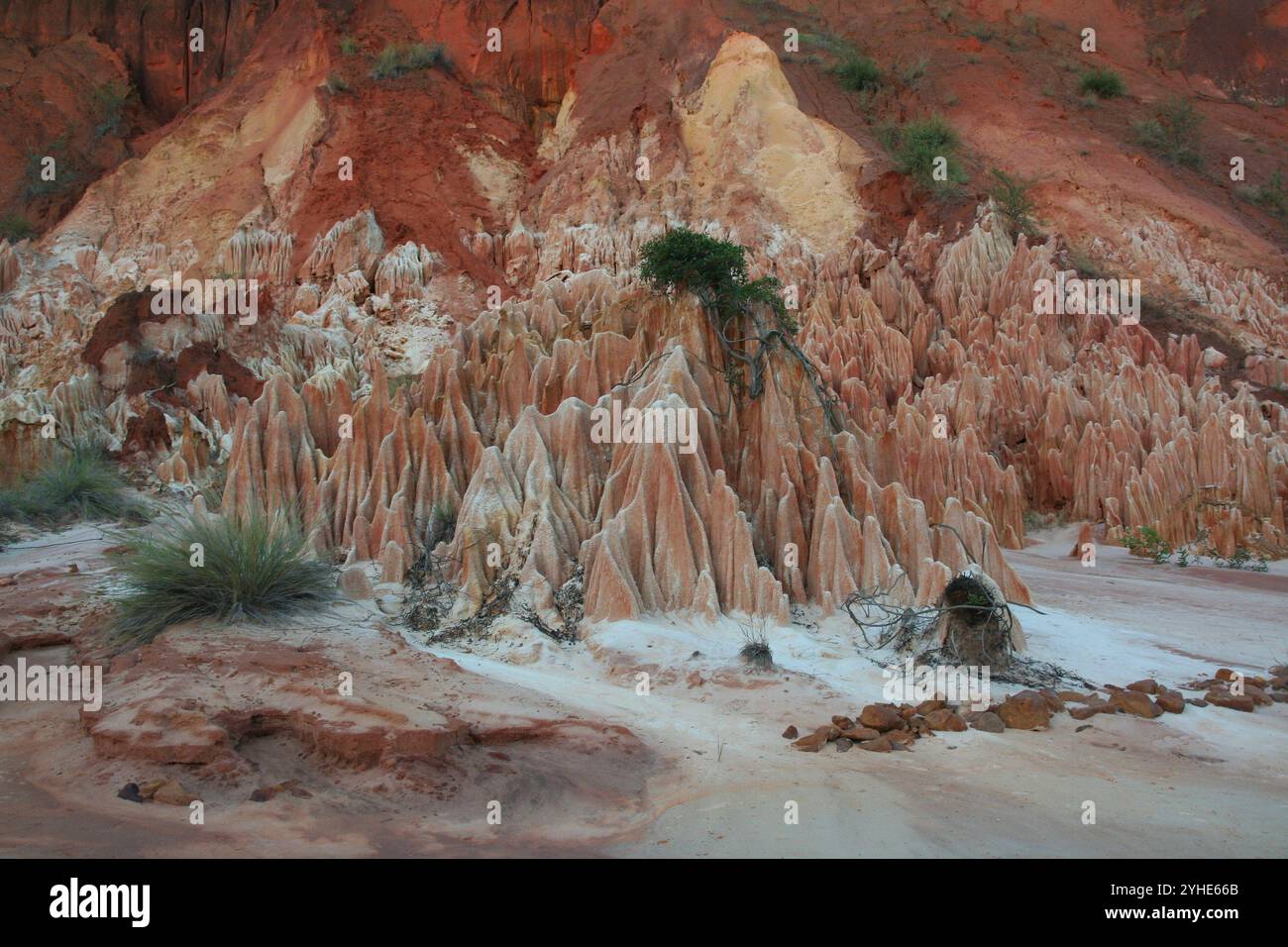 Tsingy rouge, madagascar hi-res stock photography and images - Alamy