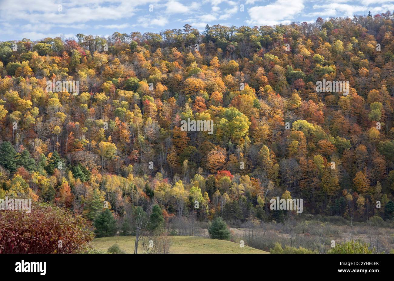 the birthplace of president coolidge in plymouth notch in vermont usa ...