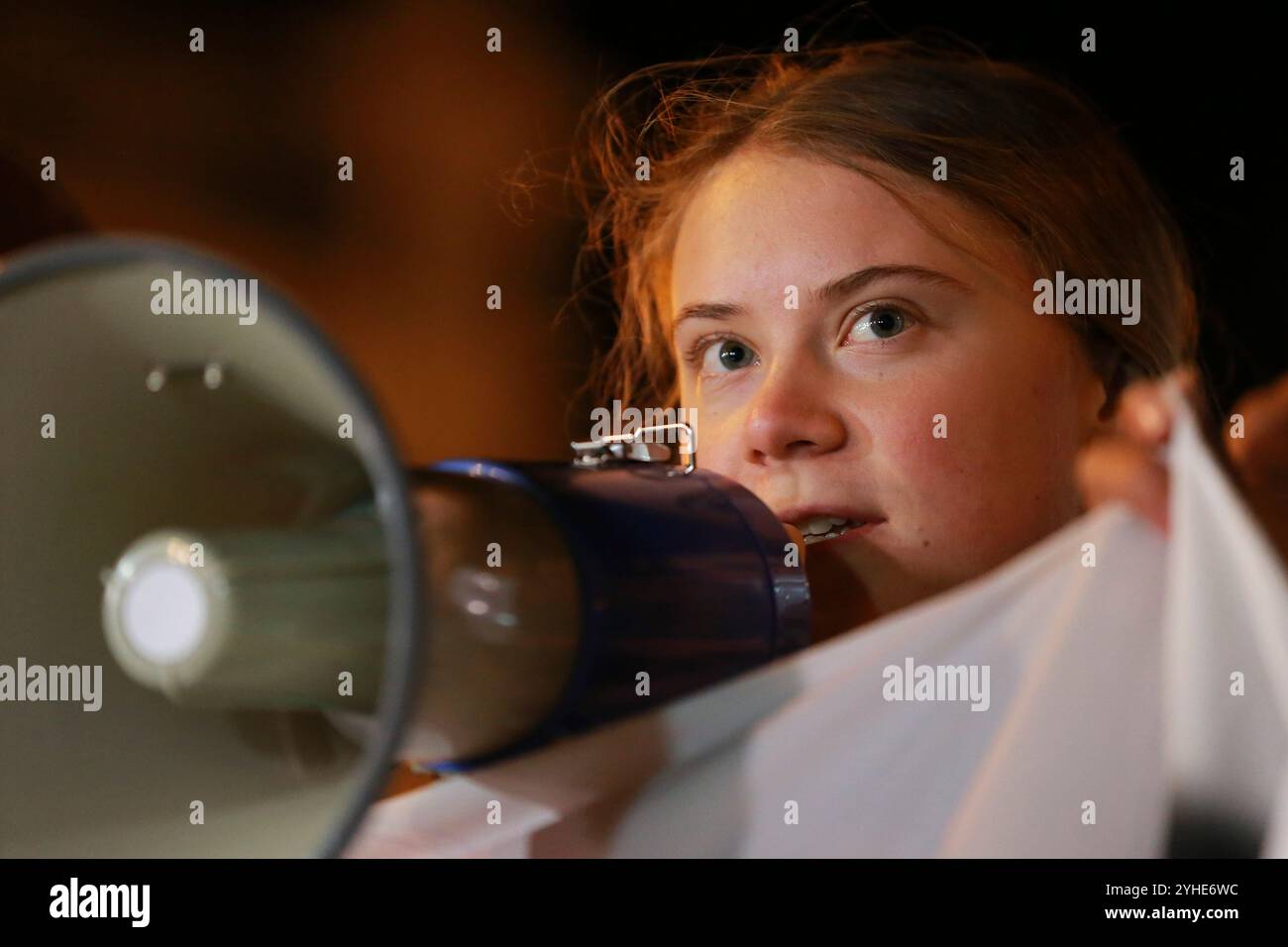 Sweden's climate activist Greta Thunberg attends a rally in Tbilisi ...