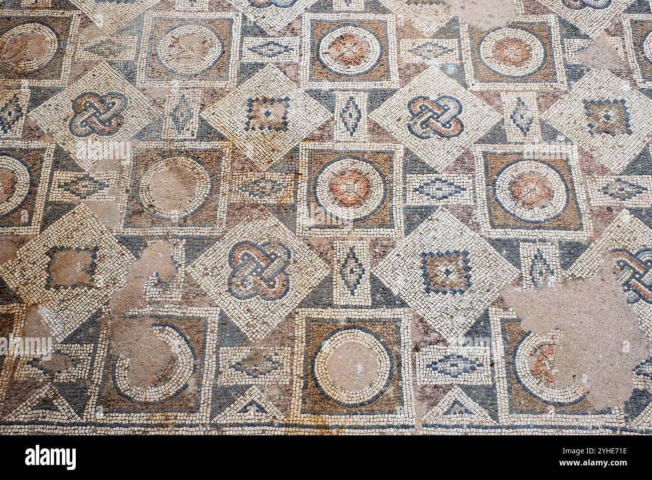 Floor Mosaics at the early Christian Basilica-St. Paul’s Pillar ...