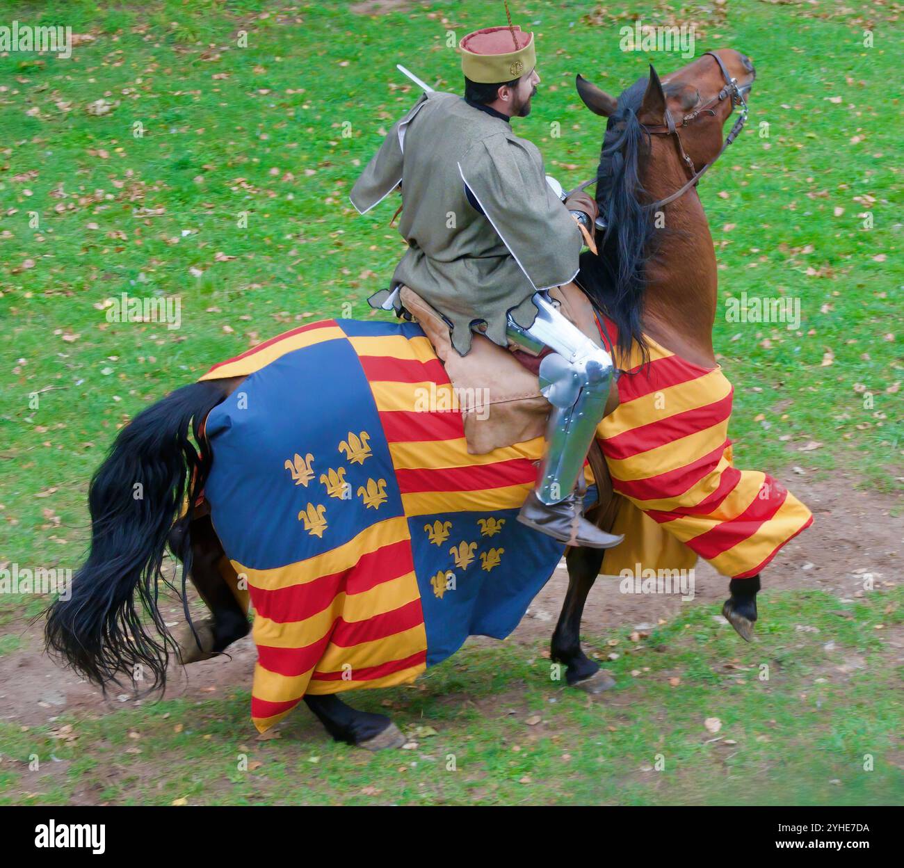 Man in medieval costume rides a caparisoned horse during a historical ...