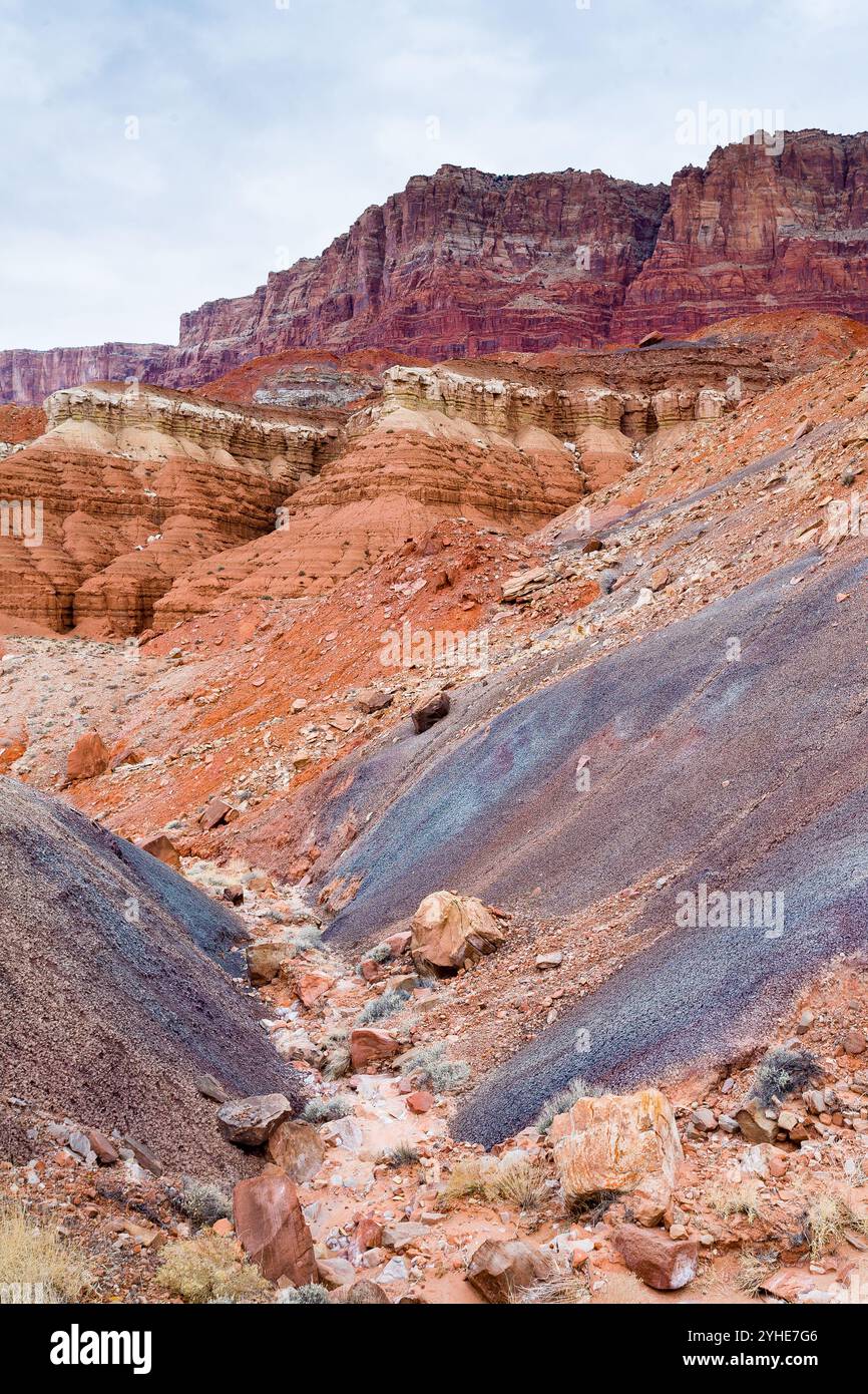 The Wingate sandstone cliffs of the Vermilion Cliffs rising high above ...