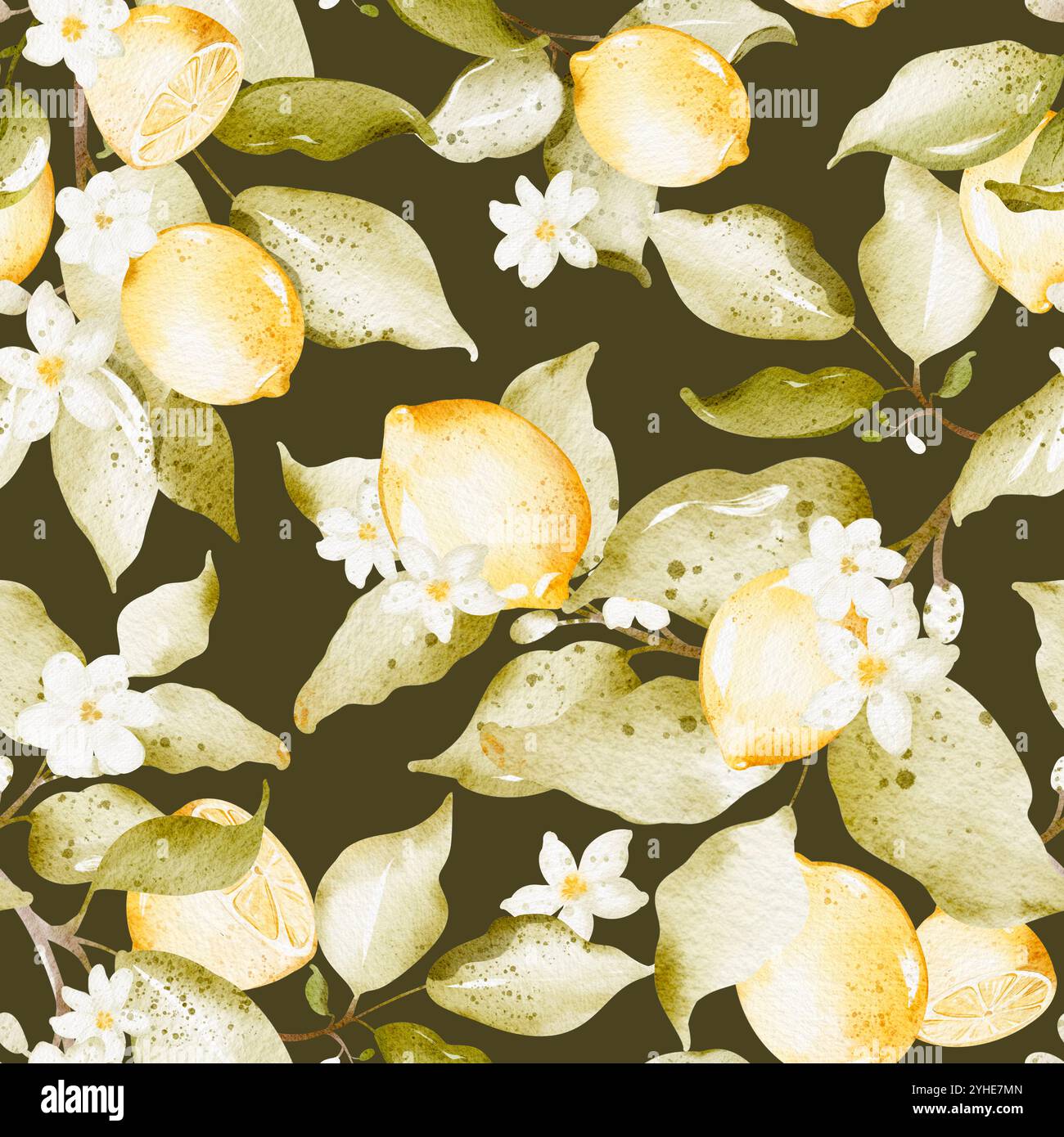 Fruit Watercolor Seamless Pattern with citrus Stock Photo - Alamy