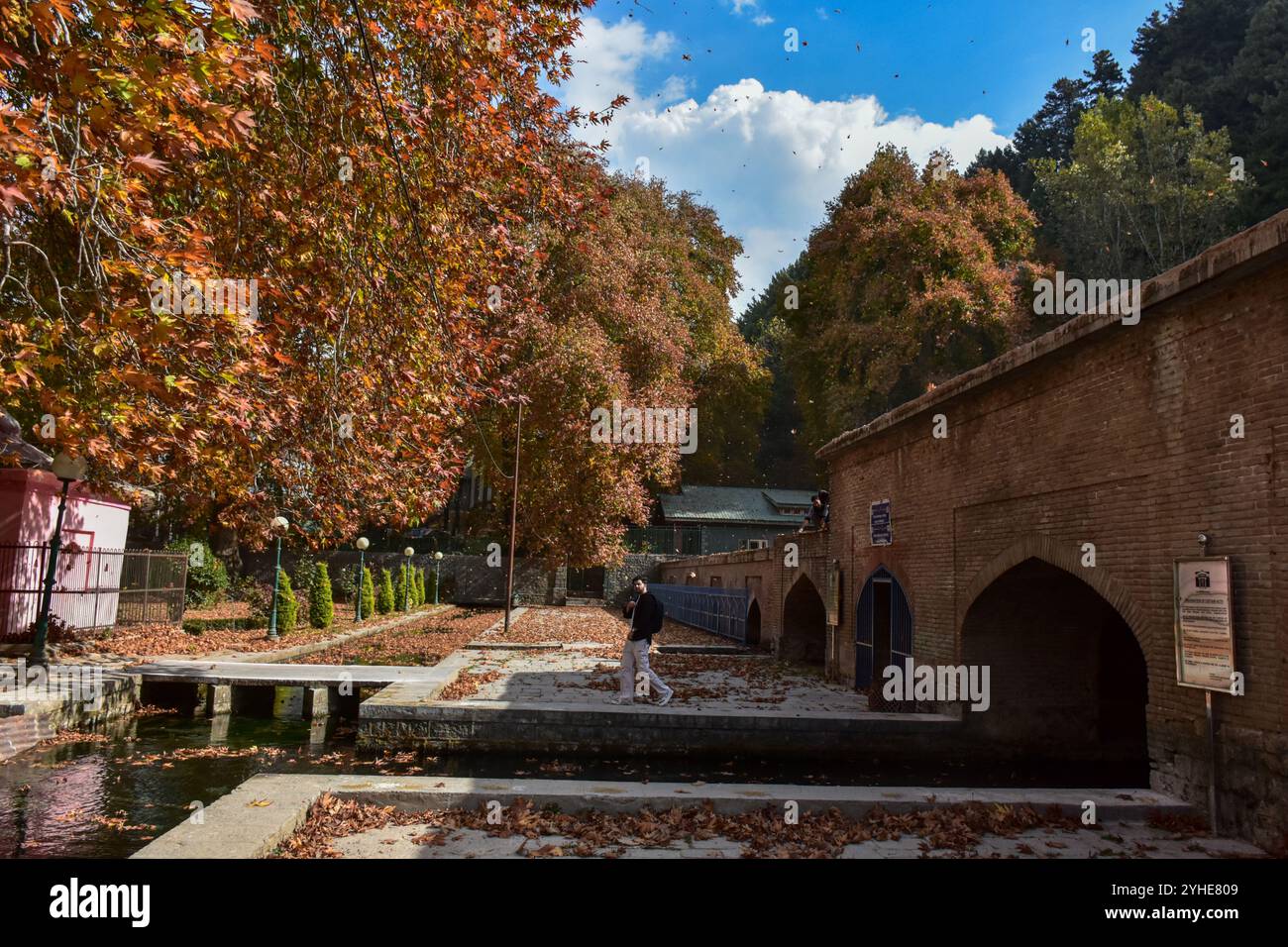 Verinag, India. 11th Nov, 2024. A visitor walks inside the garden on an ...