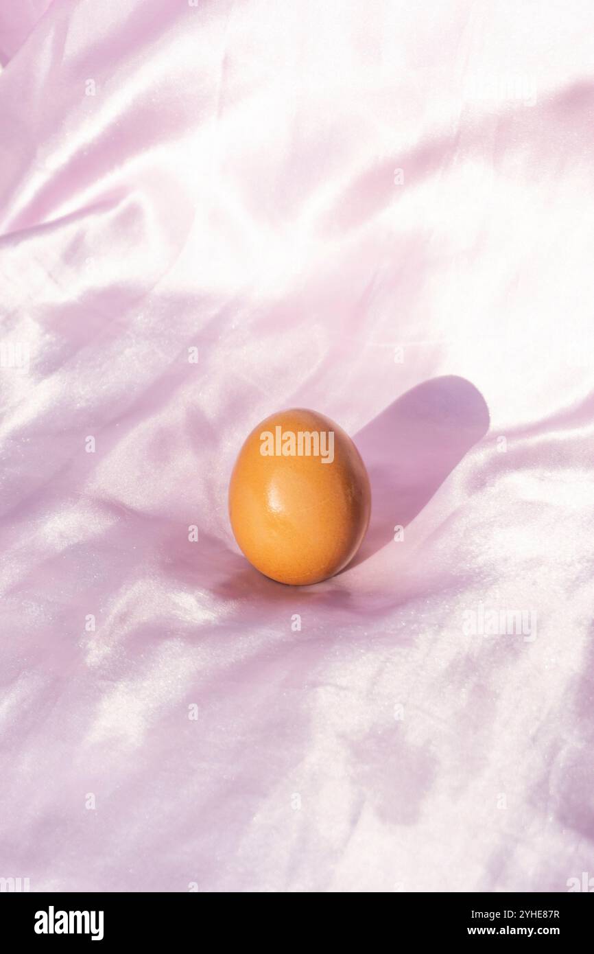 Single Brown Egg on Soft Pink Satin Background with Dramatic Shadow ...