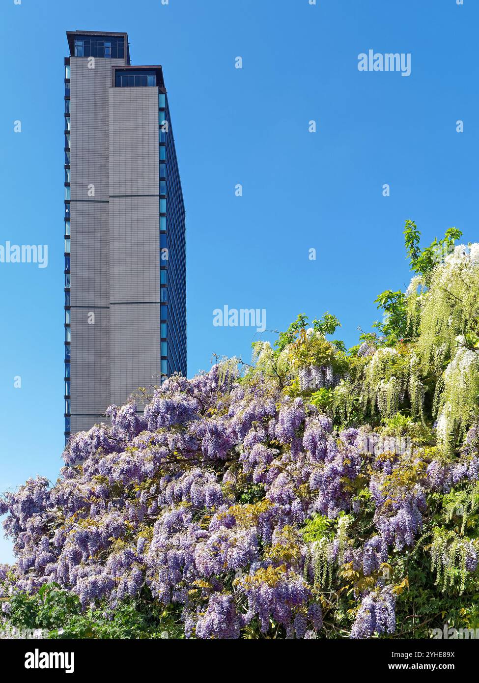 Tallest tower yorkshire hi-res stock photography and images - Alamy