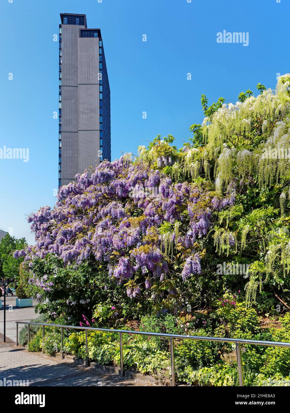 St pauls city lofts tower hi-res stock photography and images - Alamy