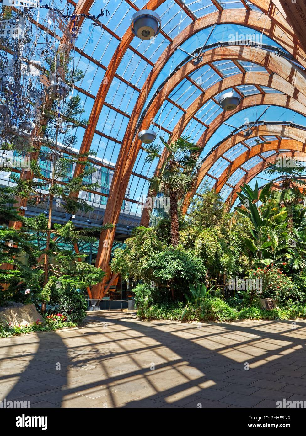 UK, South Yorkshire, Sheffield, Inside Winter Gardens Stock Photo - Alamy
