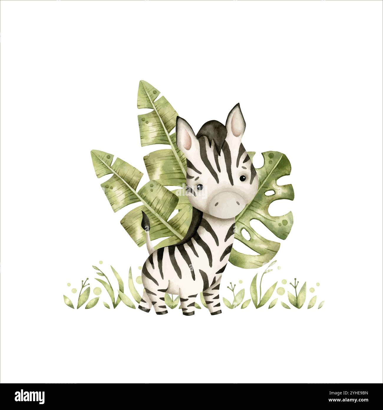 Safari watercolor hand-drawn illustration with baby zebra and tropical ...