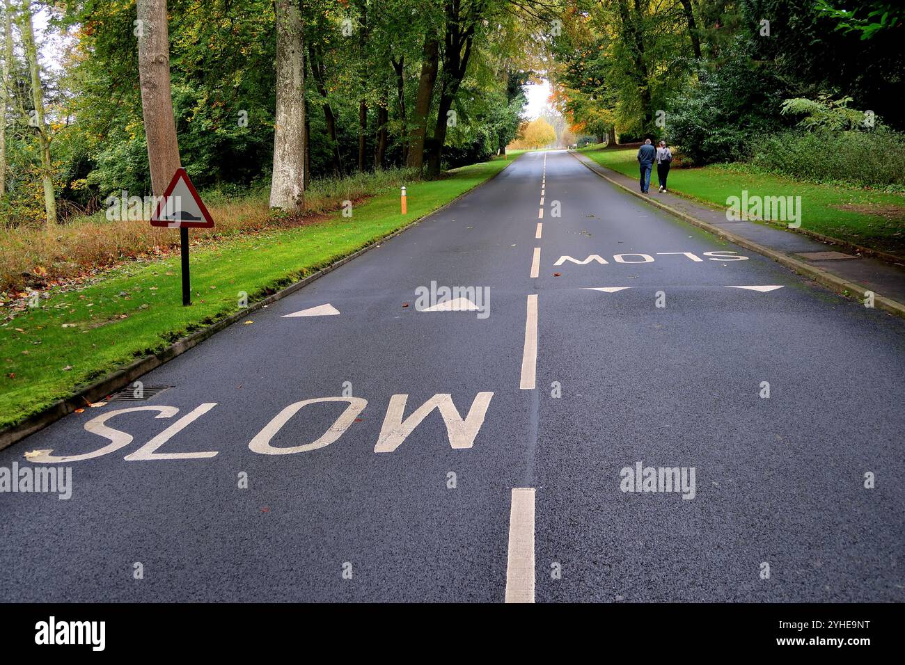Speed humps and slow sign on the access road to Heythrop Park hotel and ...