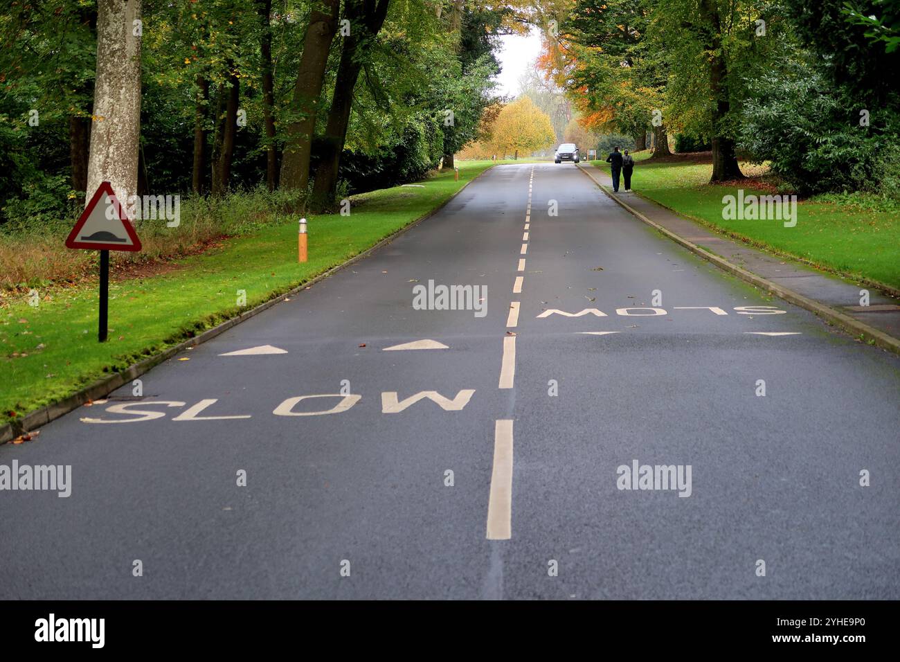 Speed humps and slow sign on the access road to Heythrop Park hotel and ...