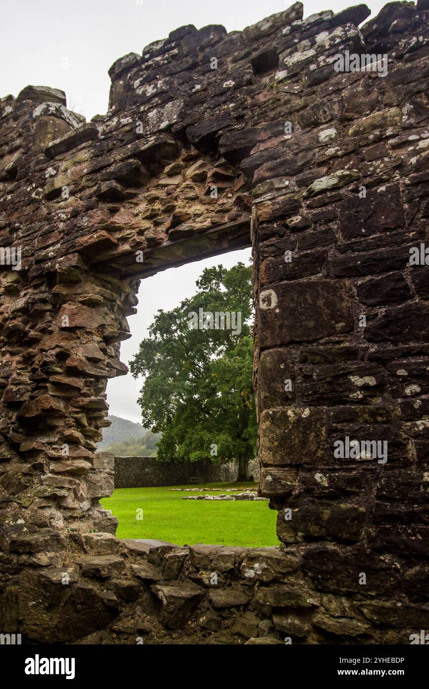 Monocious hi-res stock photography and images - Alamy