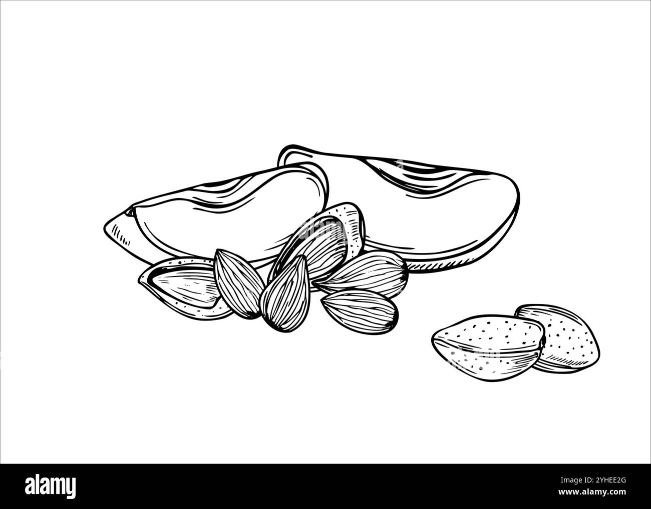 Fruit tea apple Black and White Stock Photos & Images - Alamy