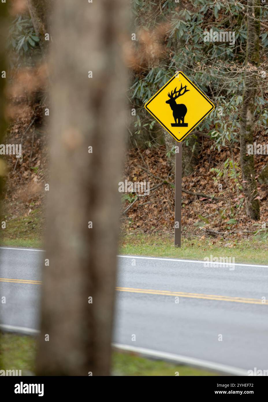 Animal Crossing Signs Stock Photo - Alamy