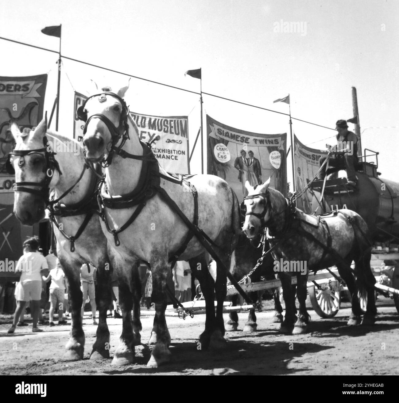 Barnum and bailey hi-res stock photography and images - Alamy