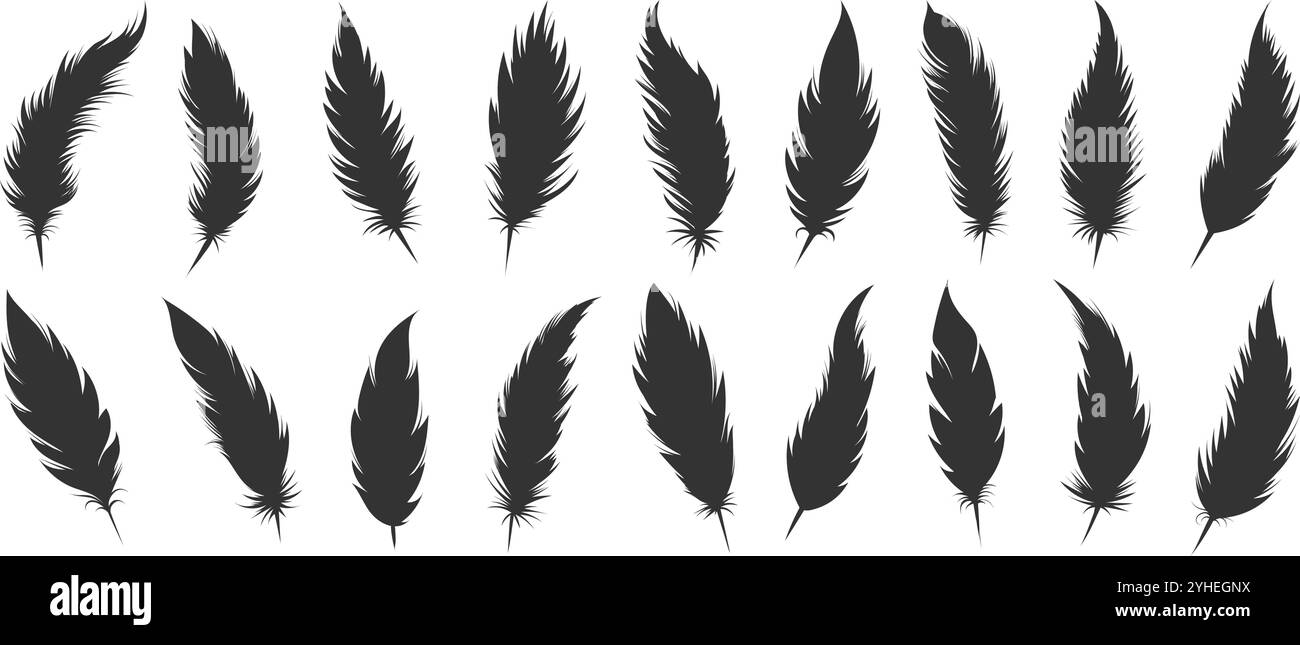 Black feather icons Stock Vector Image & Art - Alamy