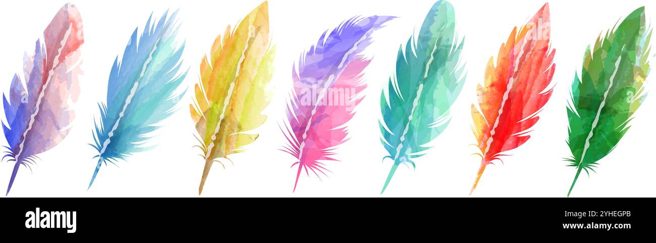 Colored feather set Stock Vector Image & Art - Alamy