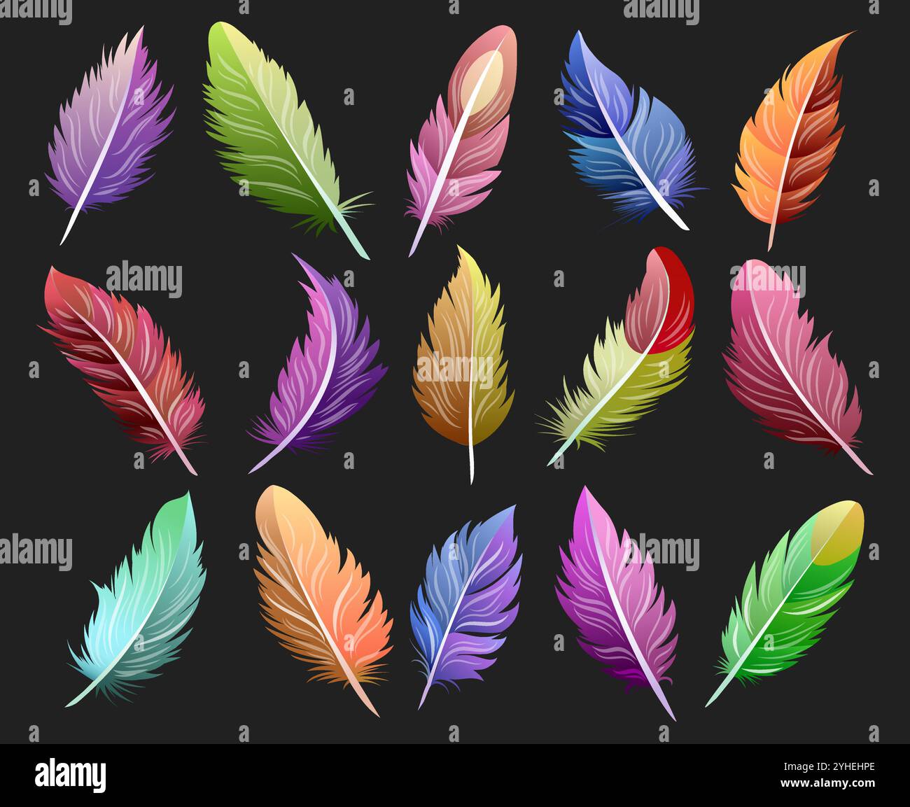 Colored feather collection. Feathers isolated on background vector ...