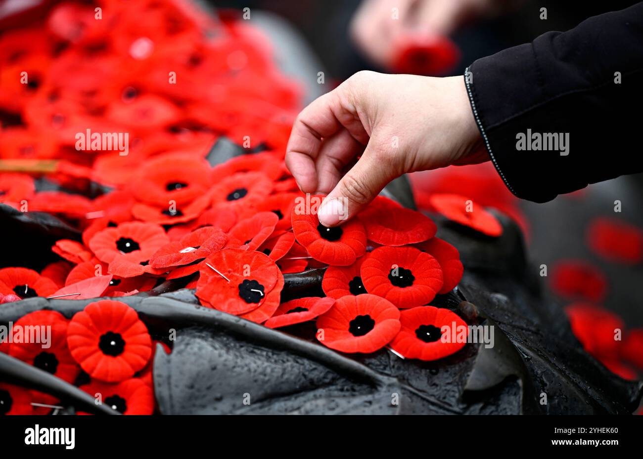 People place poppies on the Tomb of the Unknown Soldier after the ...