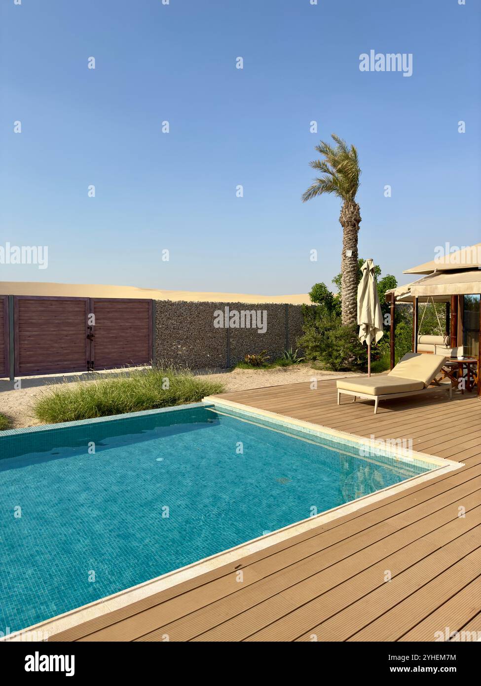 An oasis in the middle of the desert , Middle East Stock Photo - Alamy