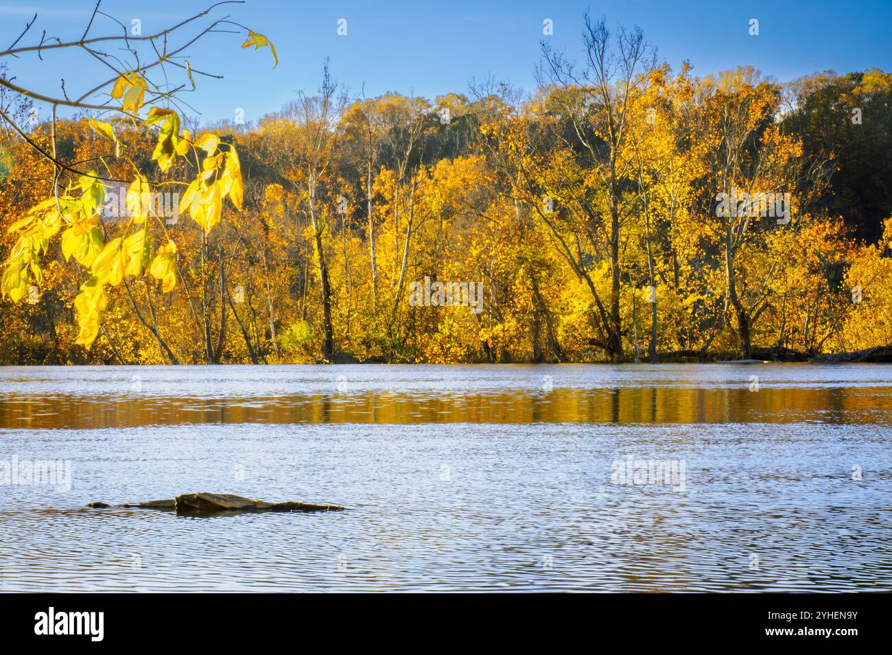 Placid autumn river hi-res stock photography and images - Alamy