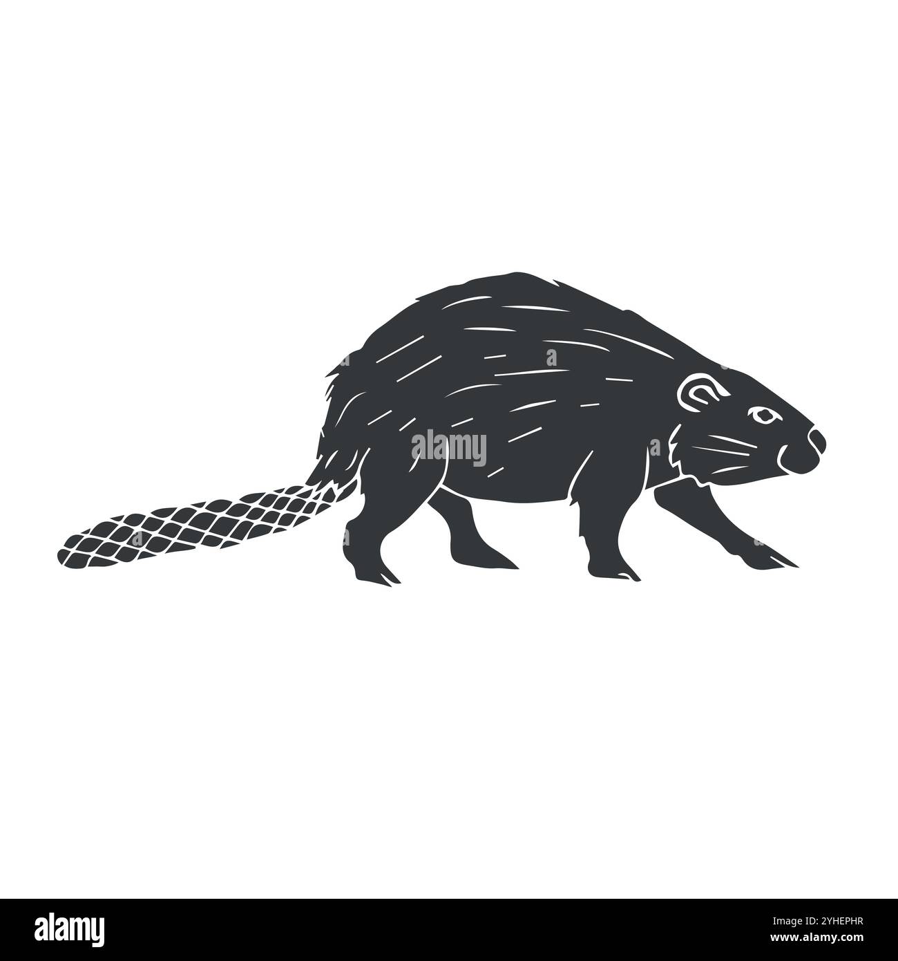 Vector hand drawn sketch doodle beaver isolated on white background ...