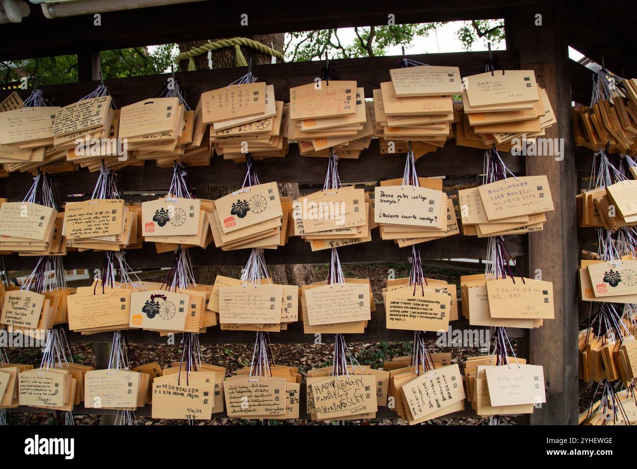 Ema votive placques hanging at the Meiji Shinto shrine in Tokyo Japan ...