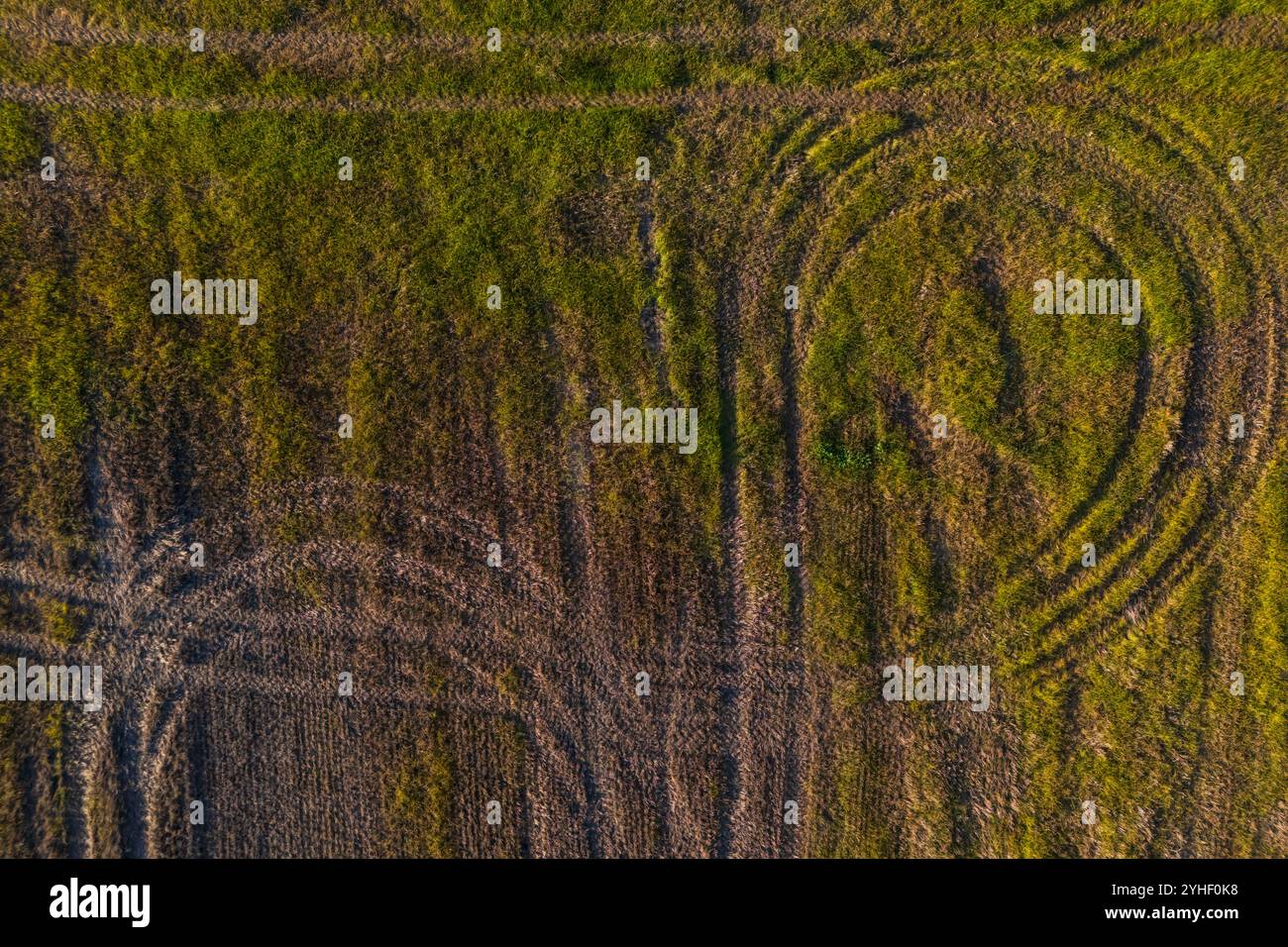 Aerial view of tractor marks on the ground of the fields in La Alfranca ...