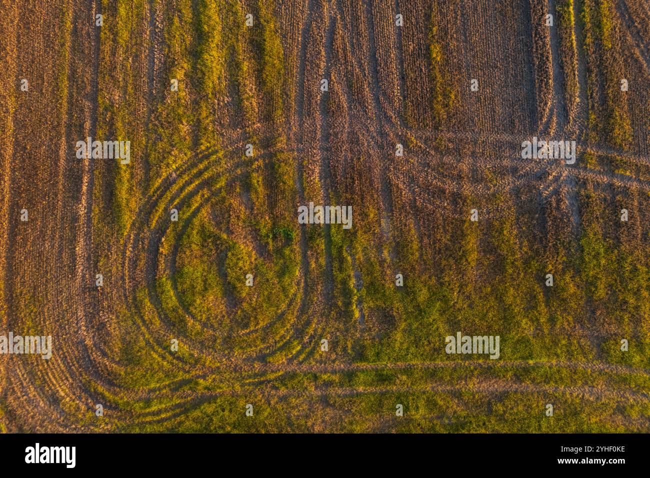 Aerial view of tractor marks on the ground of the fields in La Alfranca ...