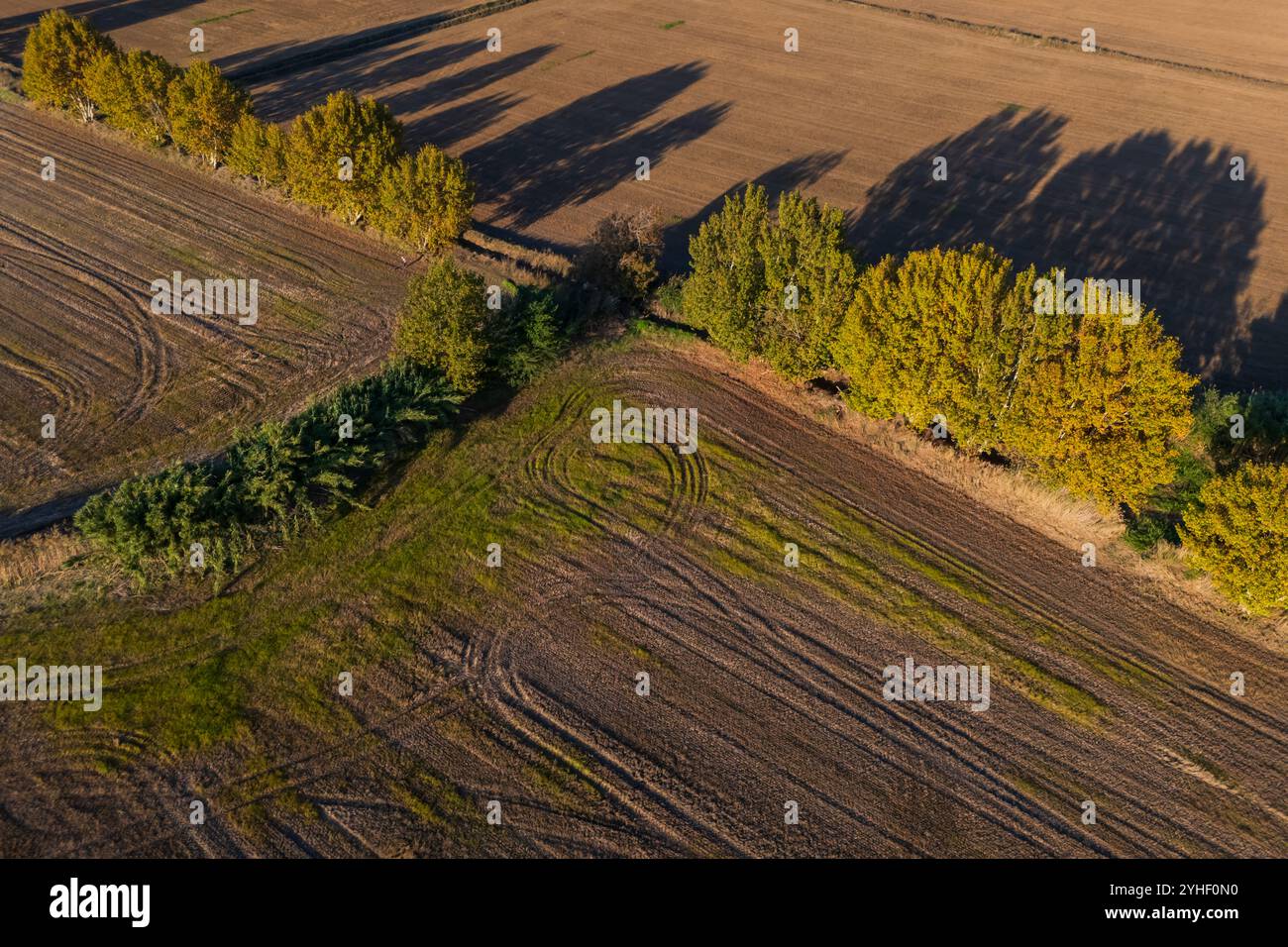 Aerial view of tractor marks on the ground of the fields in La Alfranca ...