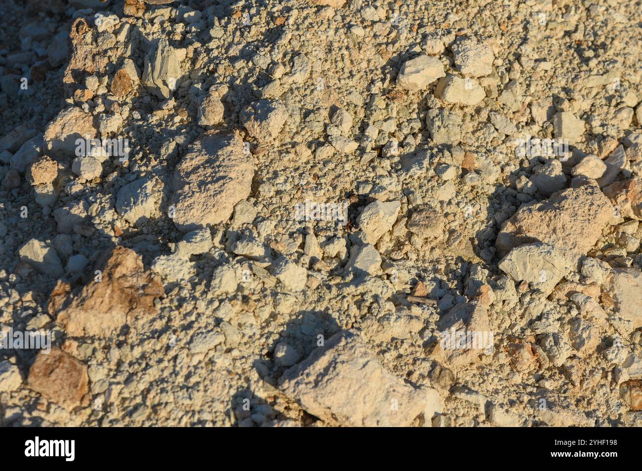 The ground reveals a tapestry of soil, rocks, and pebbles illuminated ...