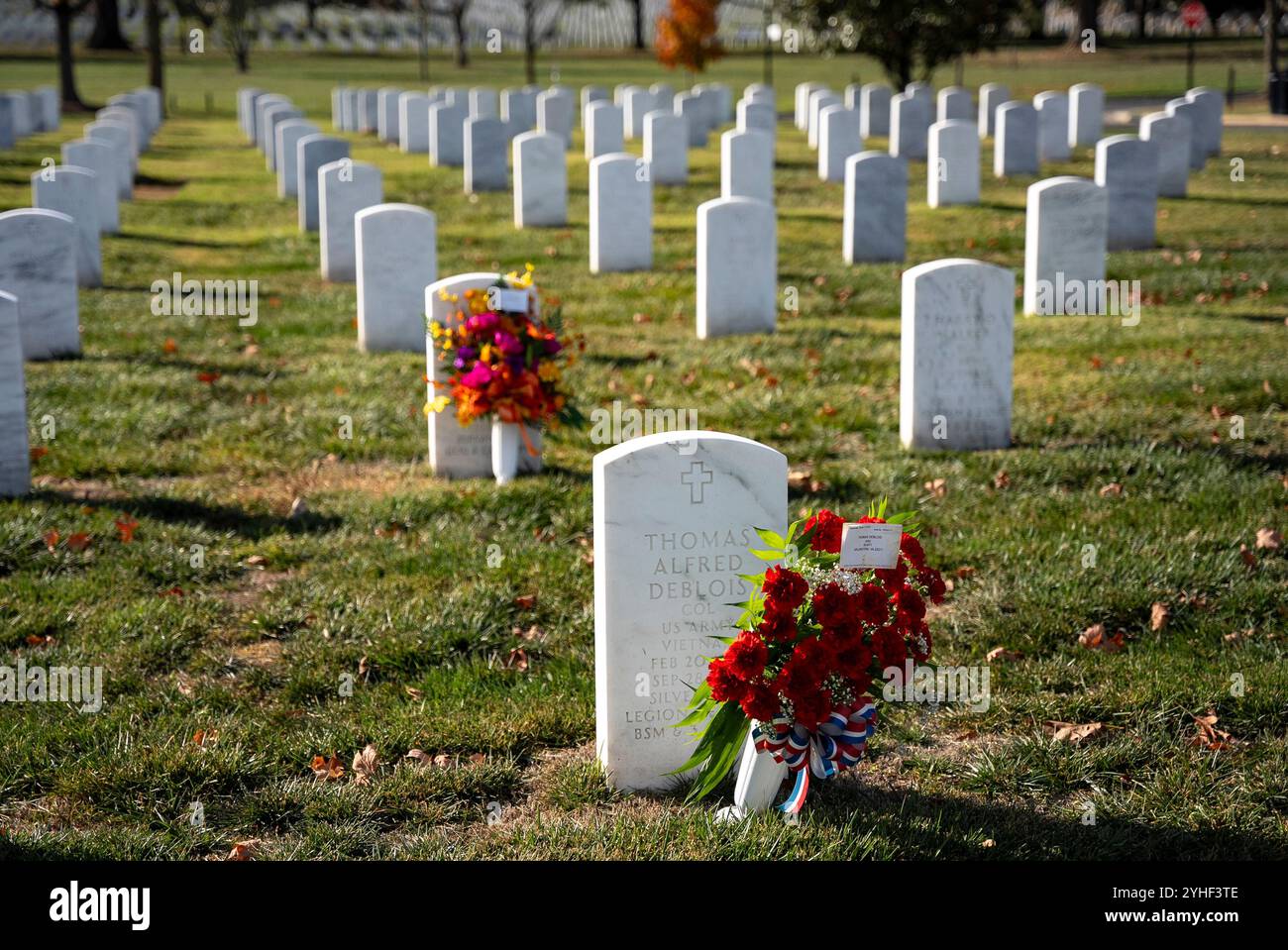 Rows of veteran graves at Arlington National Cemetery on Veteran's Day ...