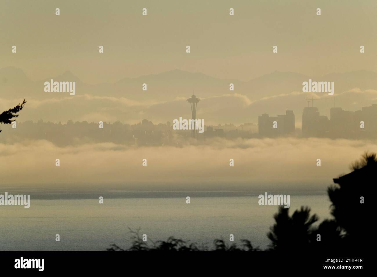 The Seattle skyline seen at sunrise rising above a low golden fog ...
