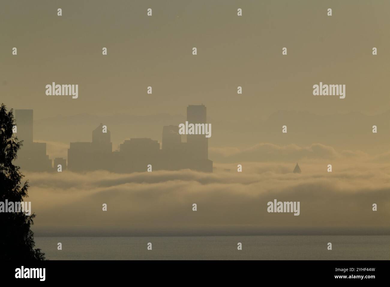 The Seattle skyline seen at sunrise rising above a low golden fog ...
