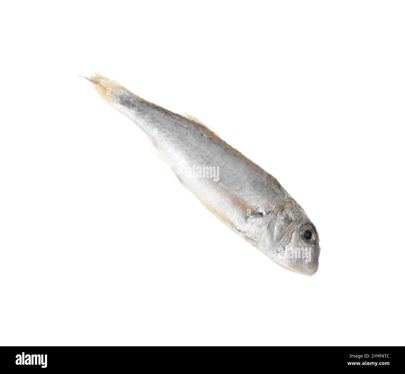 One raw red mullet fish isolated on white. Sea food Stock Photo - Alamy